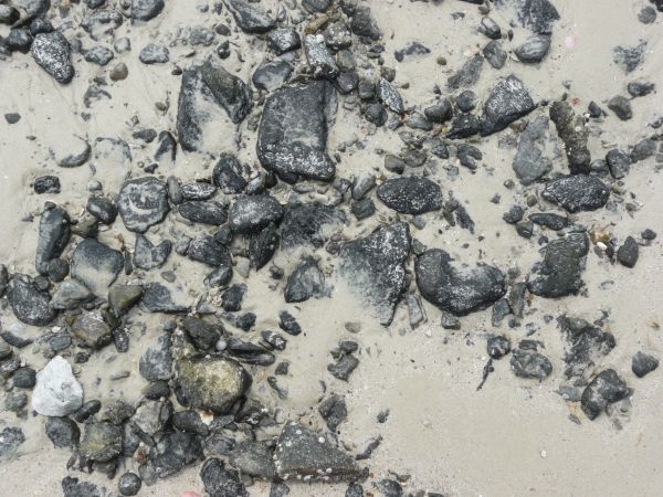 stones in sand 0052 - Texturelib